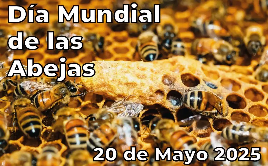 Día Mundial de las Abejas 2025